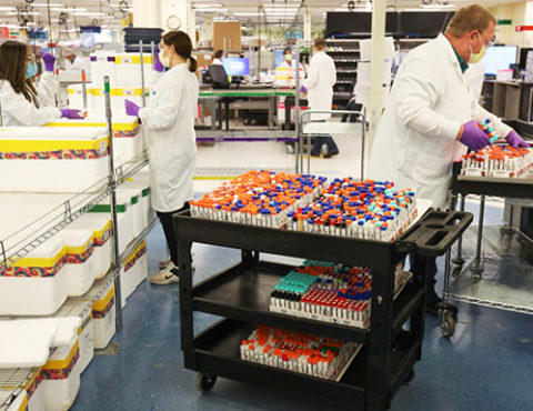 Mayo Clinic Laboratories Used Ingenuity, Flexibility, and Teamwork to ...